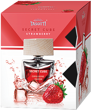 SECRET CUBE